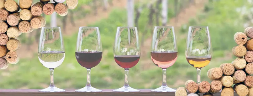 Top 5 vins rouges sans alcool 2025 à découvrir.